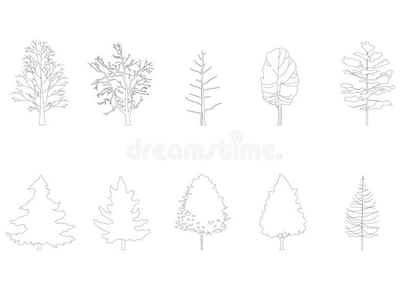 Tree Line Drawing Side View Graphics Trees Elements Single Object Outline Minimal Plant Symbol