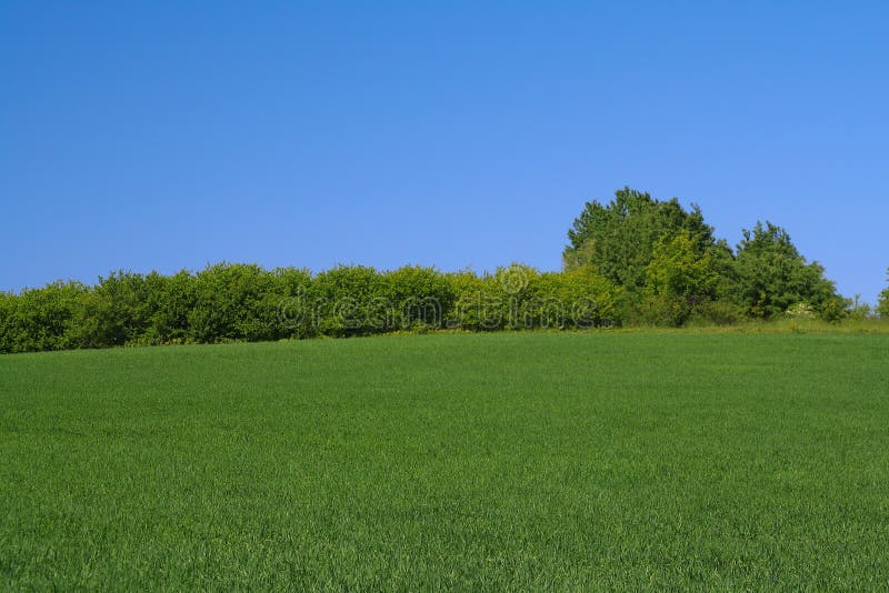 After HARVESTS-Panorama stock photo. Image of heat, field - 1072872