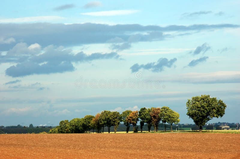 Tree Line at the Field Edge Stock Image - Image of fruits, arable: 13199555