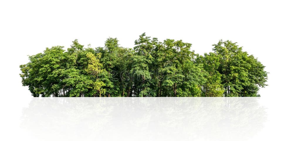 609 Tree Line Png Stock Photos - Free & Royalty-Free Stock Photos from ...