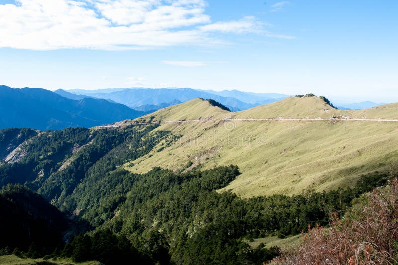 Rain forest stock image. Image of rain, plan5s, flowers - 54840703