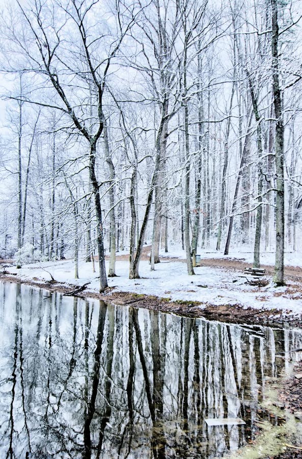 Tree Line Reflections in Lake during Winter Stock Image - Image of snow, reflection: 39154841