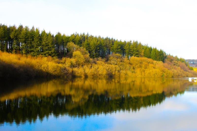 Tree Line Reflective View at Wistland Pound Stock Image - Image of ...