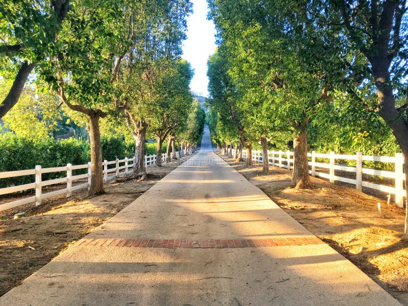 Entery Entrance Sun Stock Photos - Free & Royalty-Free Stock Photos ...