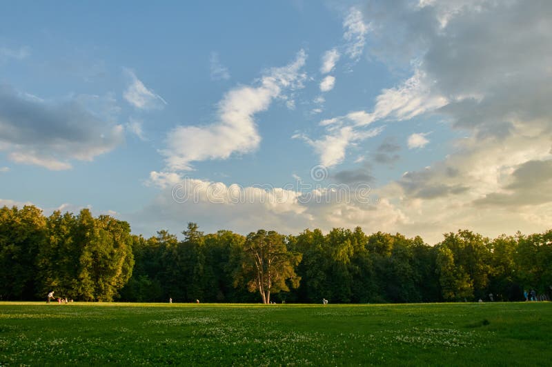 Tree line sky stock photo. Image of pattern, outdoor - 71597044