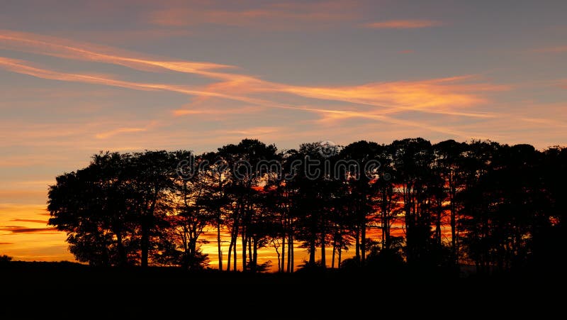 Tree line during sunset stock image. Image of scenery - 61658723