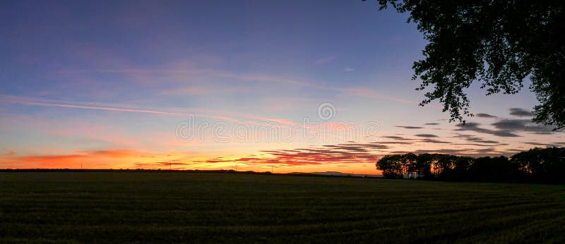 Tree Line during Sunset - Panorama Picture Stock Photo - Image of line ...
