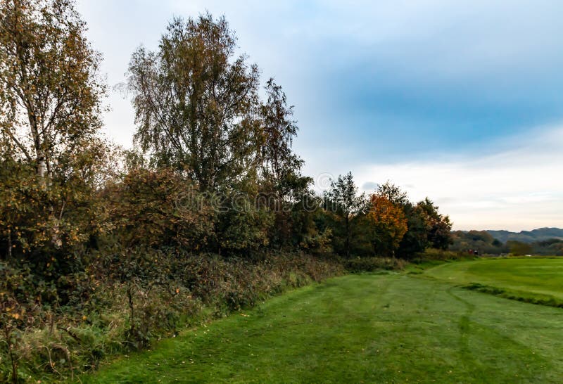 Tree Line stock image. Image of fields, rural, walking - 129580349
