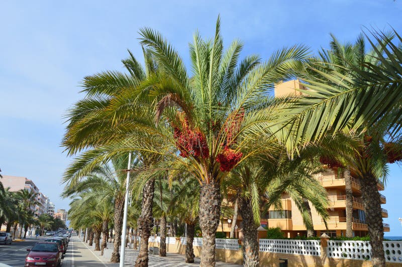 Google Free Lined Templates Stock Photos - Free & Royalty-Free Stock ...