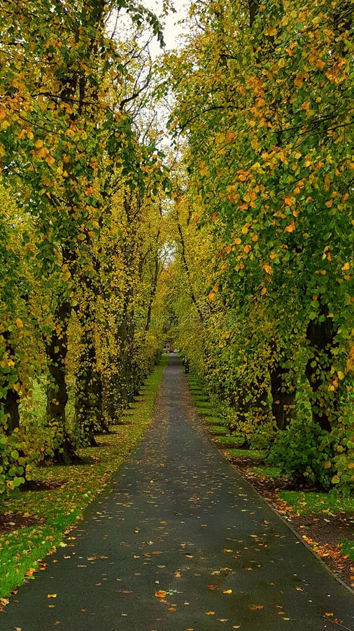 Lined background. stock photo. Image of white, fabric - 13227708