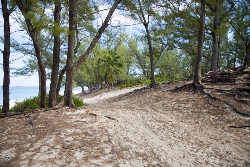 Beach Path Picture. Image: 5219824