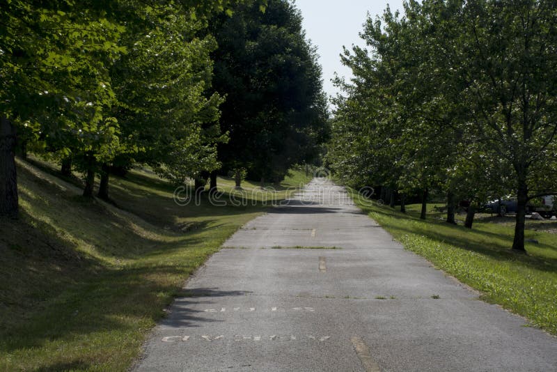 Tree lined bike path stock photo. Image of blacktop - 118453708