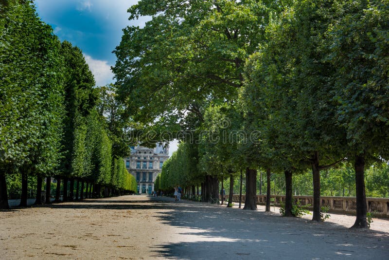 Tree-lined Boulevard in Jardin De Tuileries in Paris Stock Photo ...