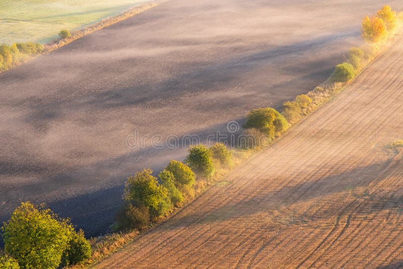 Tree Lined Field with Mist at the Autumn Stock Image - Image of scenery ...