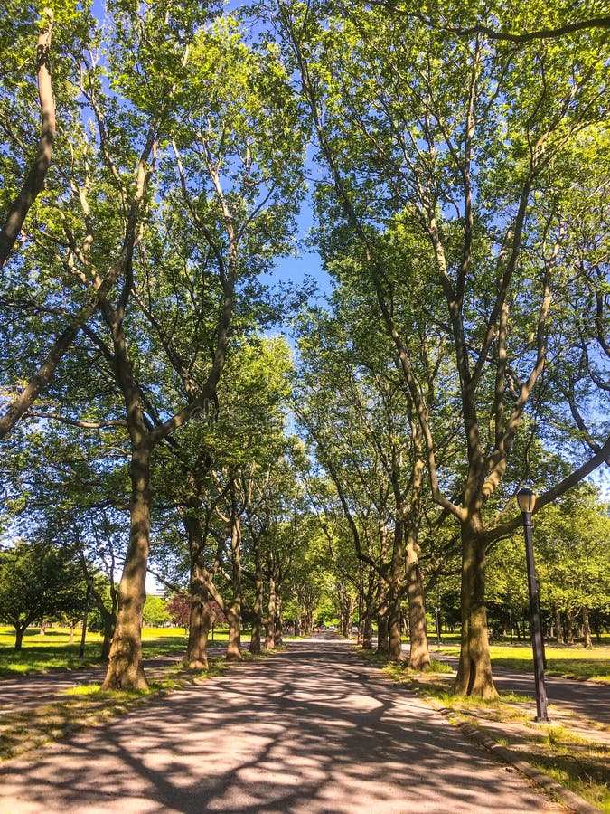 Tree Lined Footpath Flushing Meadows Corona Park Stock Image - Image of ...