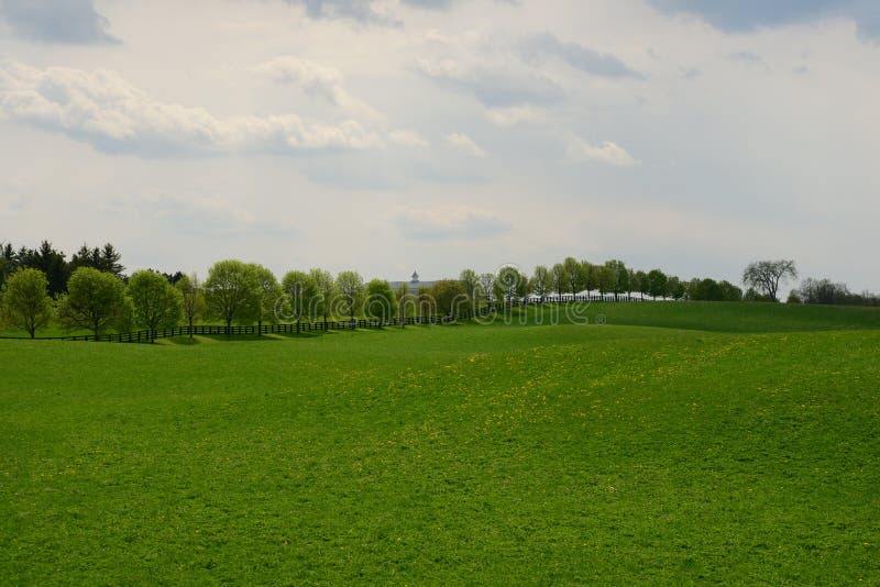 Neal Mutiger (Neal101) - Photographer profile