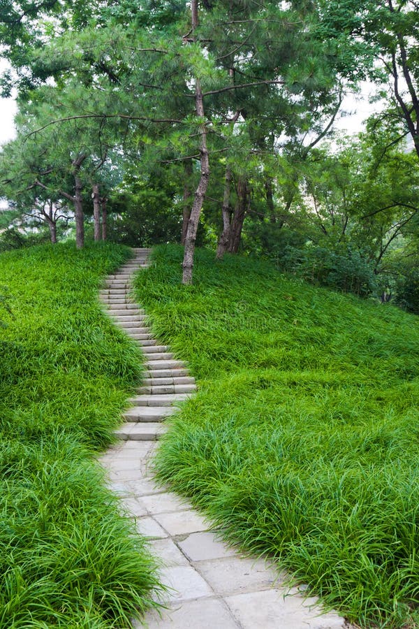 Tree Lined Country Road stock photo. Image of tree, road - 33357656