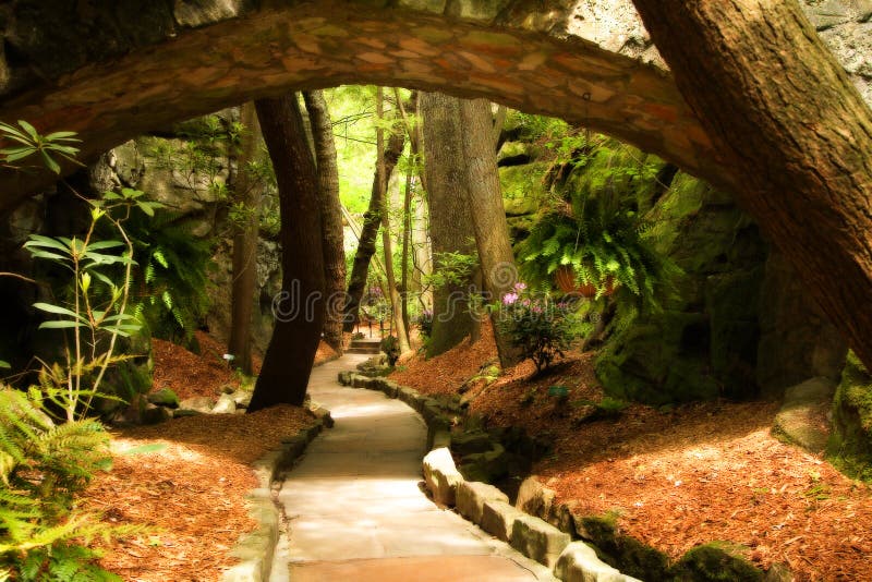 Tree lined path stock image. Image of autumn, stump, concrete - 948609