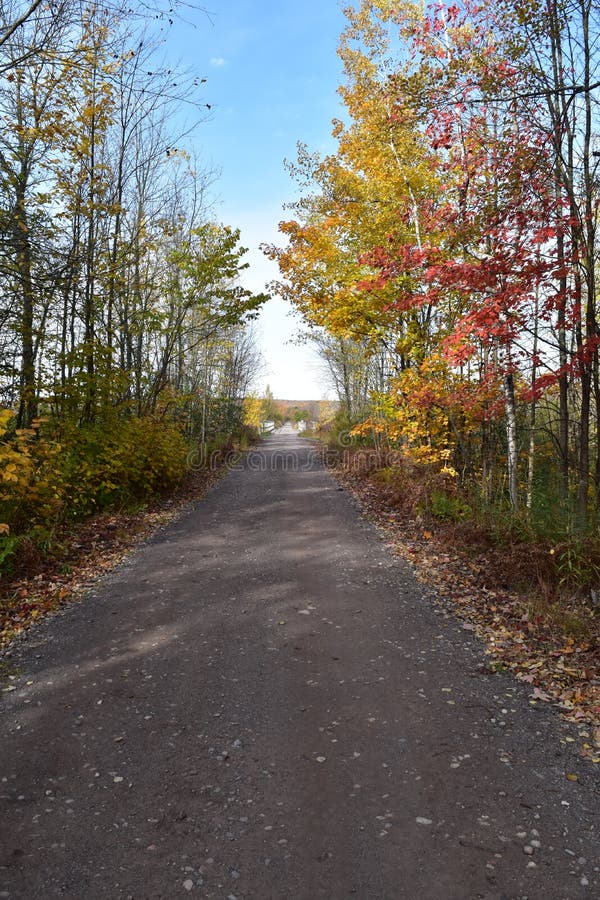 Forest Path Bordered by Changing Fall Leaves Stock Photo - Image of ...