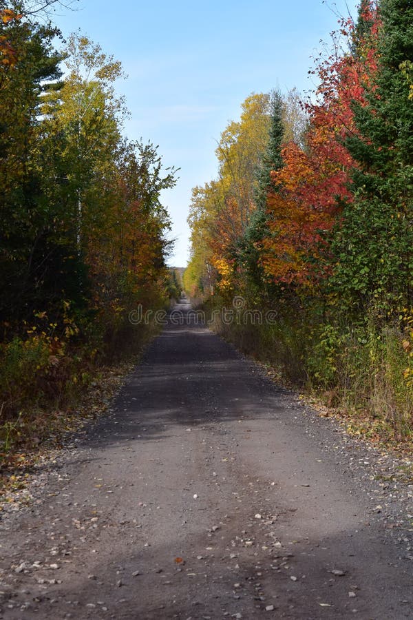 Forest Path Bordered by Changing Fall Leaves Stock Image - Image of ...
