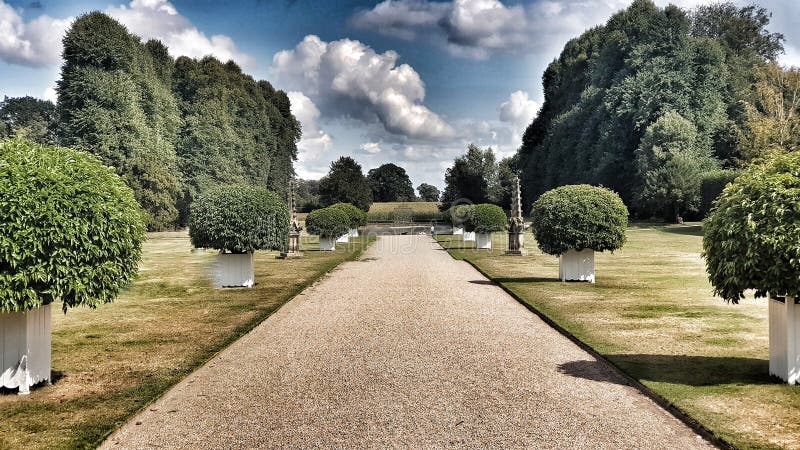 Tree lined path stock image. Image of country, lined - 125478417