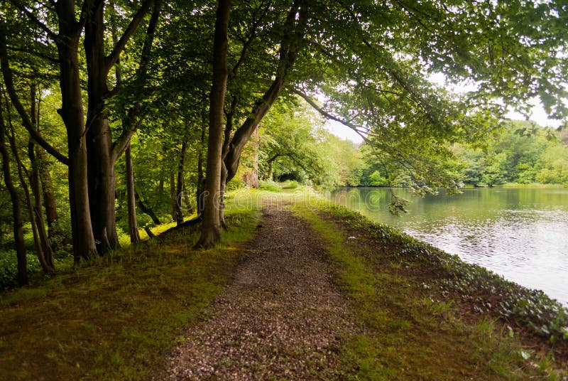 Tree lined path stock photo. Image of treelined, landscape - 110028052