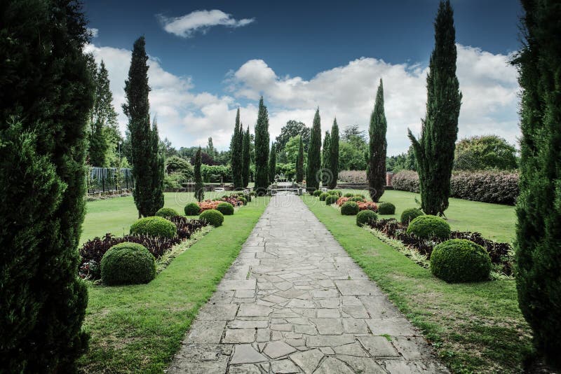 Tree lined path stock image. Image of outdoors, outdoor - 35907443