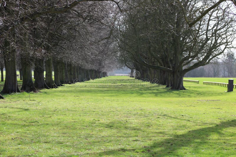 Tree lined paths of green stock photo. Image of branches - 162700662