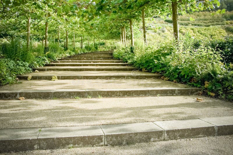 Tree lined pathway stock photo. Image of stairs, staircase - 55223174