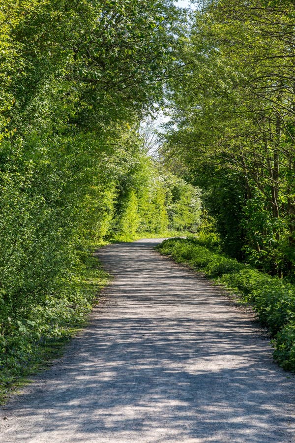 Looking Along a Country Path Stock Image - Image of journey, springtime ...