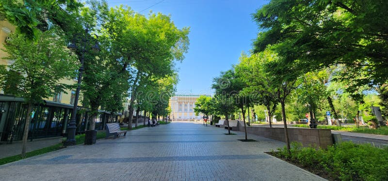 Tree-Lined Pedestrian Street with Benches on a Bright Sunny Day Stock ...
