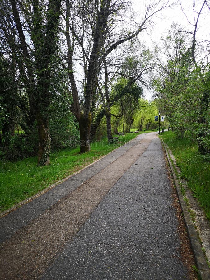 Tree-lined Promenade Boulevard in the Mountains Stock Photo - Image of ...
