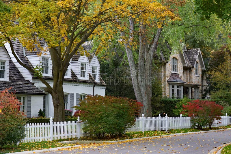 Tree Lined Residential Street Stock Photo - Image of residential, color ...