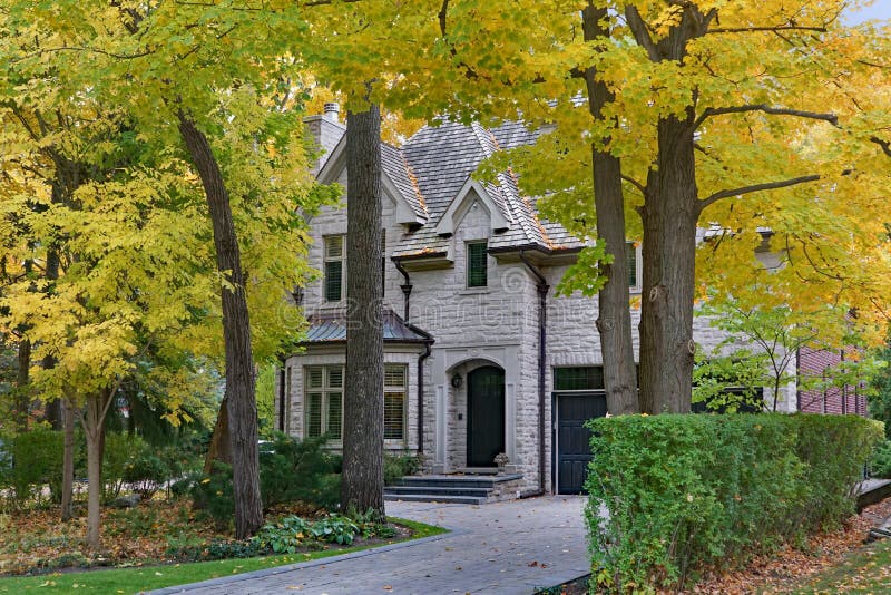 Tree Lined Residential Street Stock Image - Image of mature, shady ...