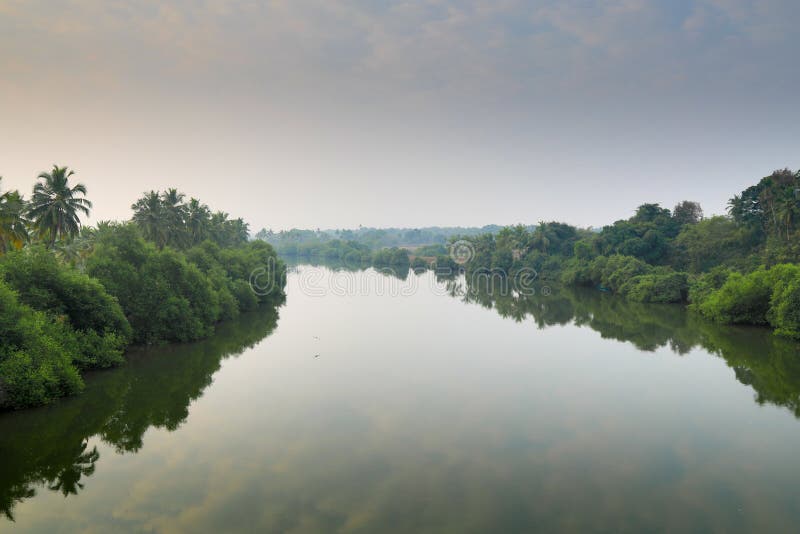 Coconut Tree Reflection in River Sal at Talaulim Stock Photo - Image of ...