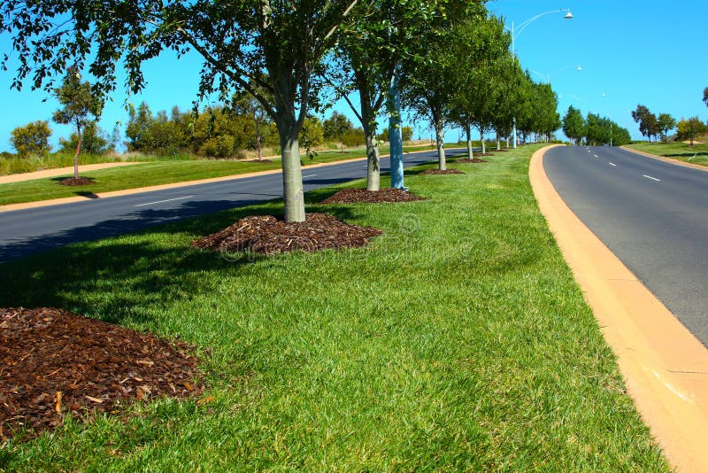 Tree Lined Road stock photo. Image of housing, bitumen - 27697348