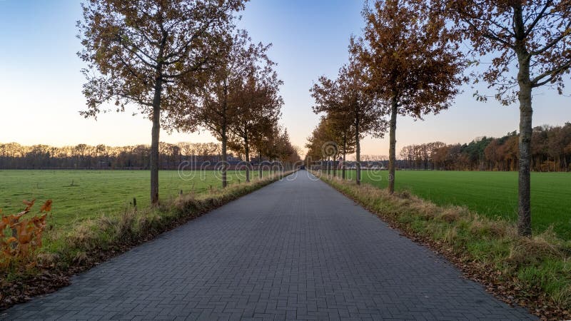 Tree-Lined Road between Farm Fields in Countryside Setting Under a ...