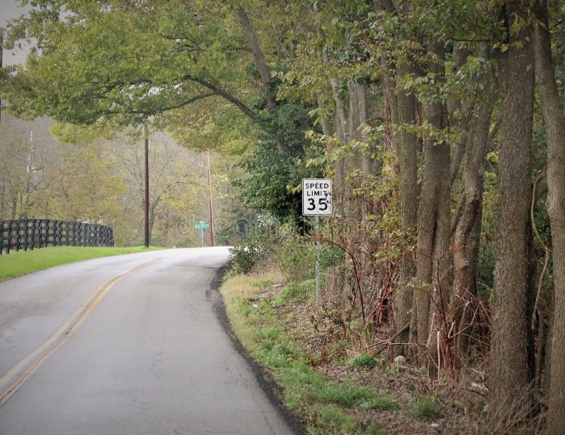 Tree lined road stock photo. Image of green, lined, tree - 133111620
