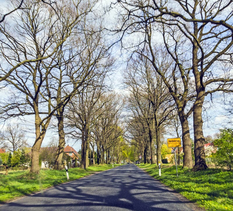 Tree-lined Road in Springtime Stock Image - Image of road, germany ...