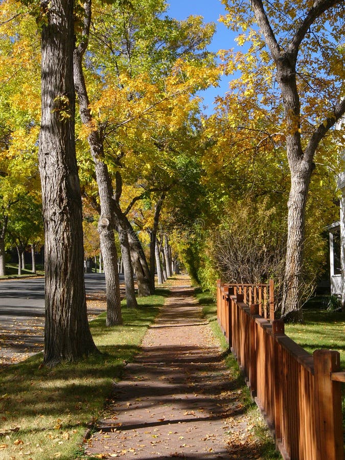 10+ Sidewalk lined trees Free Stock Photos - StockFreeImages