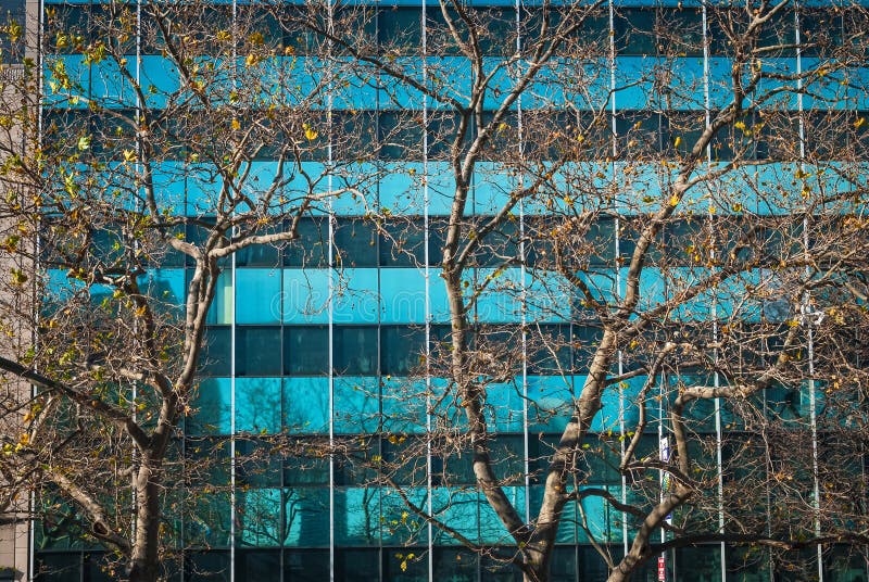 Tree Lines stock photo. Image of trees, lines, pattern - 50088448