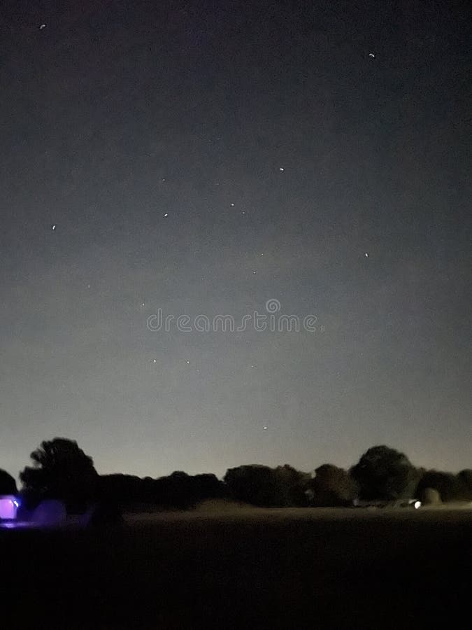 Tree Lines in Silhouette and Night Stars Stock Image - Image of england ...