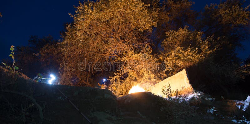 Tree lit bonfire night stock image. Image of fire, tree - 105987003