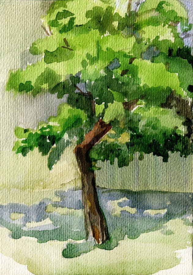 Tree Lit by the Sun. Watercolor Drawing Stock Photo - Image of element ...
