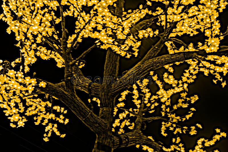 Tree Lit Up with Yellow Flowers - Modern Light Show Stock Image - Image ...
