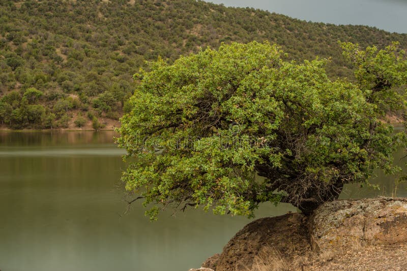 Living At The Edge Of Nature Stock Image - Image of modern, blue: 41215551