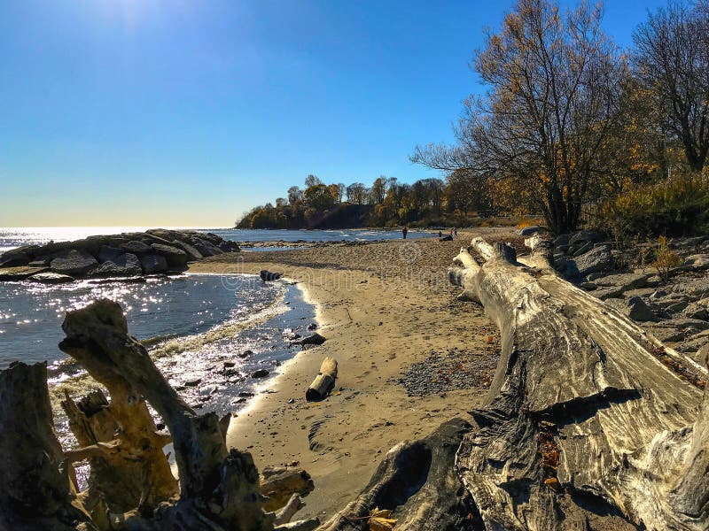 Tree Log on the Beach with a Blue Sky Stock Photo - Image of cliff ...