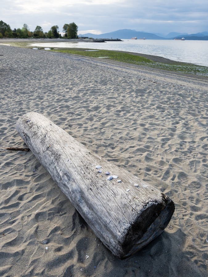 Tree Log on Jericho Beach in Vancouver Stock Image - Image of jericho ...