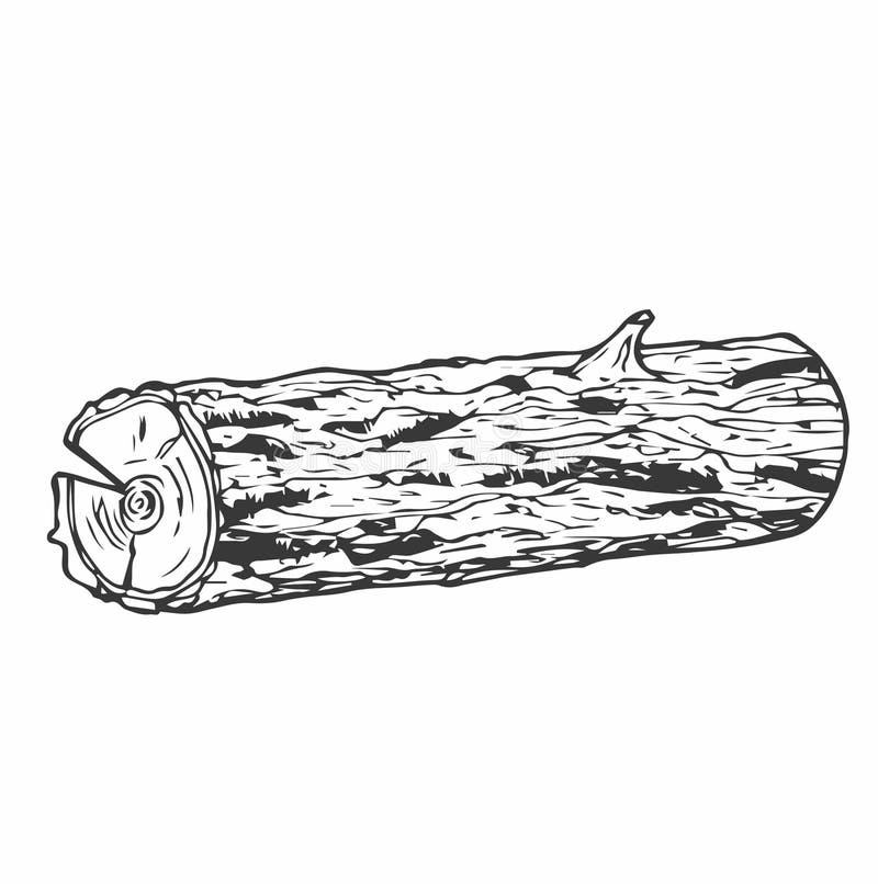 Tree Log Outline Illustration,isolated on White Background, Trunk Line ...