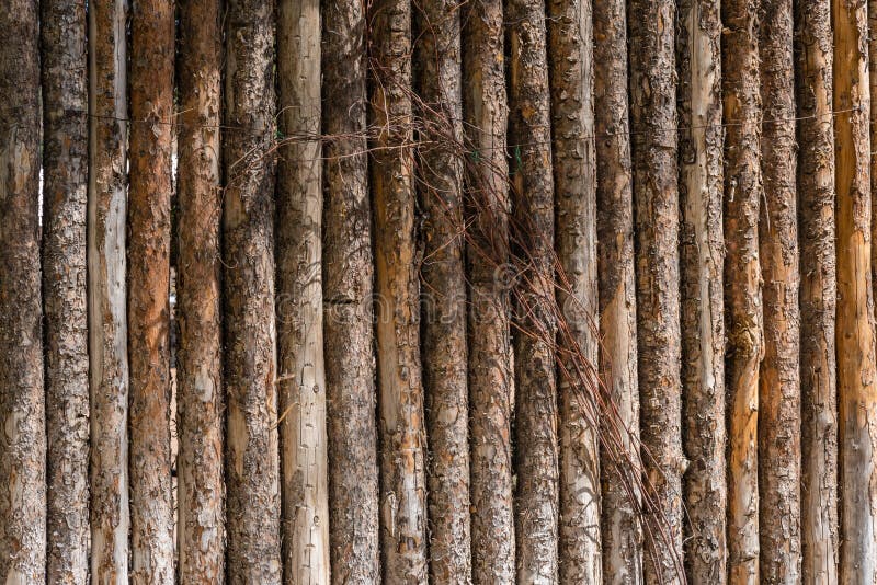 Tree log post fence stock photo. Image of material, pattern - 74562626